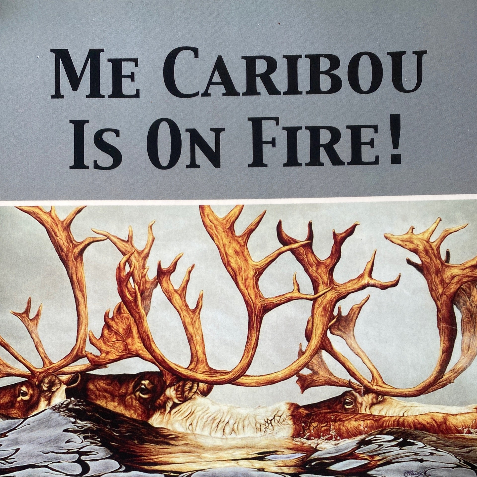 Me Caribou Is On Fire | Alaska Trappers Association
